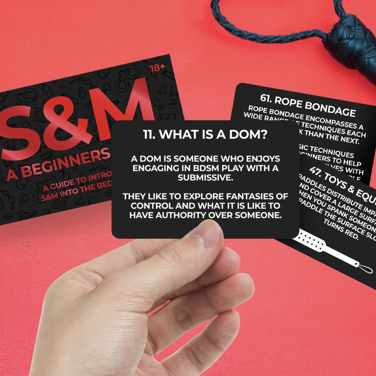S&M - Beginners Guide Cards – Eggplant & Poppy ~ Unique + Quirky Gifts