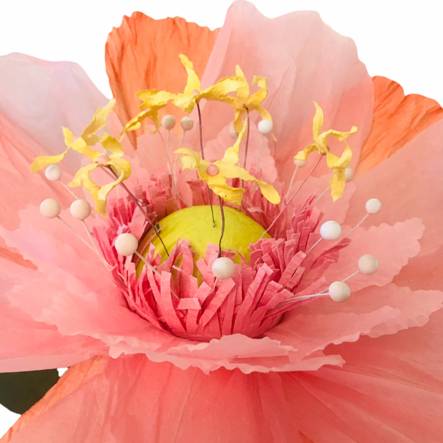 Dancing Flower XL - Apricot – Eggplant & Poppy ~ Unique + Quirky Gifts