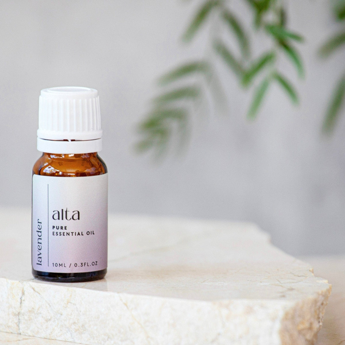 Alta Essential Oil - Lavender – Eggplant & Poppy ~ Unique + Quirky Gifts