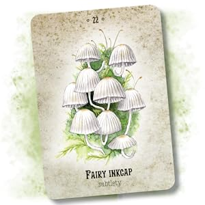 Mushroom Spirit Oracle – Eggplant & Poppy ~ Unique + Quirky Gifts